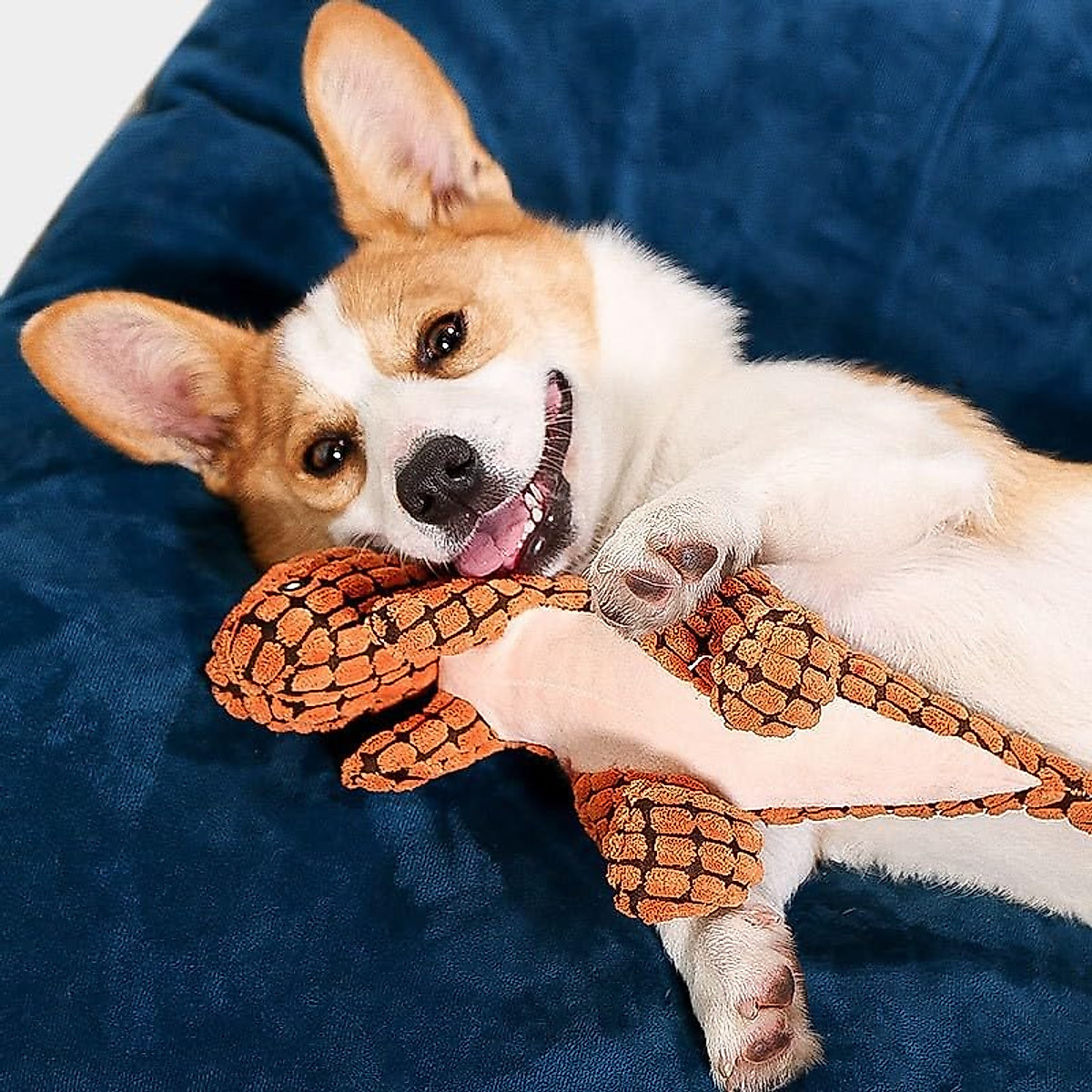 Dog Pet Chew Toys Plush Chewing Toy, Aggressive Chewers Durable Molars Training Toy, Resistant Cute Dinosaur Shape Pet Stuffed Toy for Teeth Grinding,Built-in air Pressure Sound Device