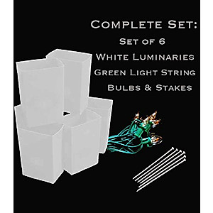Set of 6 White Luminaries, Light String, Bulbs & Stakes