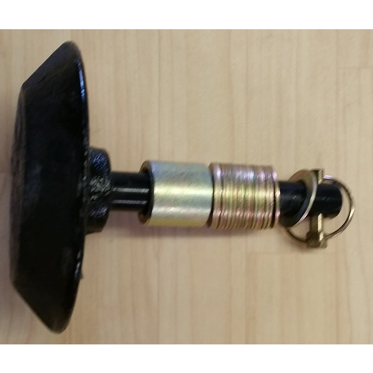 SnowDogg/Buyers Products 16121100, Shoe Assembly, HD/EX/CM Plow