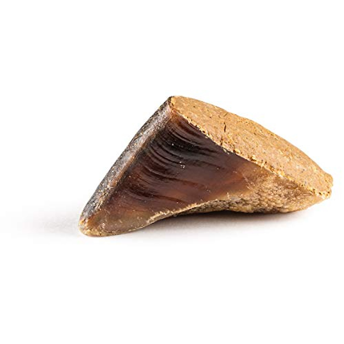 Jack&Pup Filled Cow Hooves for Dogs; Stuffed Dog Chew Hoofs (5 Pack) Cow Hoofs for Dogs. Natural Dog Chews, Filled Dog Bones (Peanut Butter Flavor)