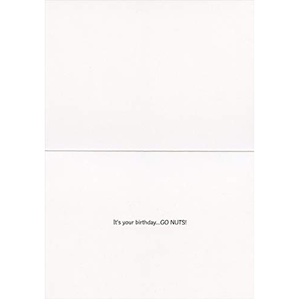 Designer Greetings Squirrels with Birthday Candle on Acorn Funny/Humorous Birthday Card