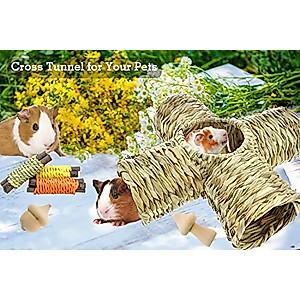 Vehomy Guinea Pig Grass Tunnel Toy Hamster Natural Hideaway Tunnel Tubes and 9Pcs Small Pet Chewing Toys Small Animal Grass House with 5 Entrances for Guinea Pig Syrian Hamster Chinchillas Gerbils