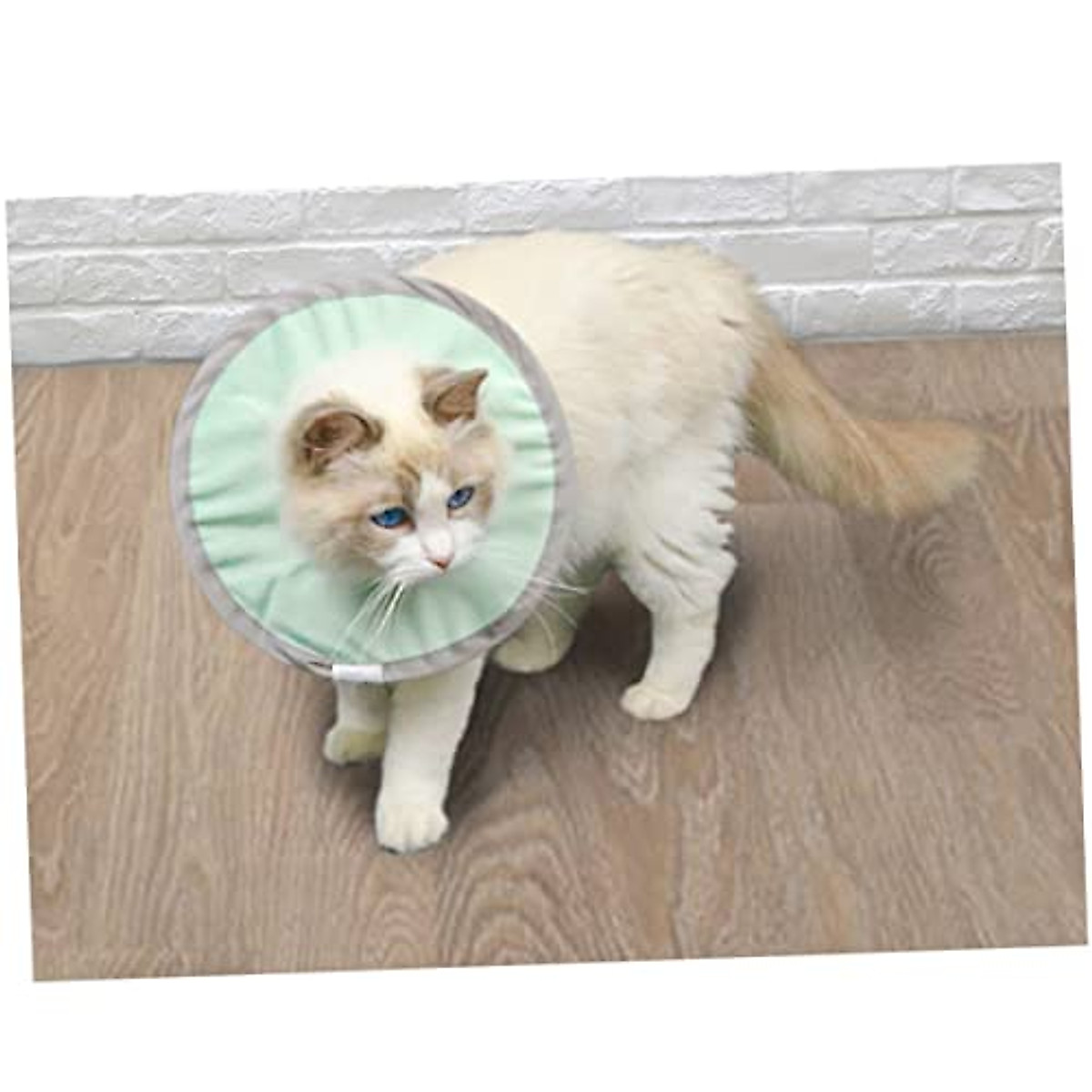Housoutil 3 Pcs Licking Cone Dog Cot Pet Dog Cone Plant Weights Licking Collar Dog Veil Wedding -Lick Collar Dog Elizabethan Collar Puppy Water Elizabeth Circle