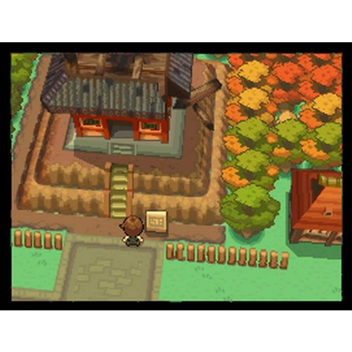 Pokemon HeartGold Version