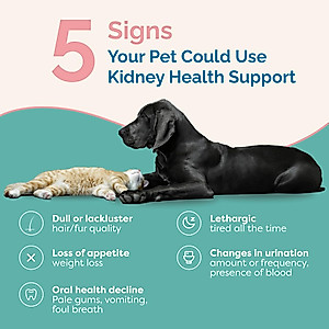 PranaPets Kidney Health Support Supplement for Cats | Naturally Supports Healthy Kidney Function in Cats | Herbal Formula Helps Inflammation & Symptoms of Kidney Issues