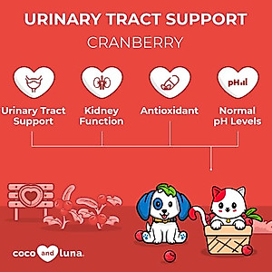 Cranberry for Dogs and Cats - 120g Powder - Urinary Tract Support, Cat UTI, Bladder Support, Dog UTI, Bladder Stones and Incontinence Support