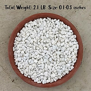 White Rock Pebbles 2.1lb Pumice Potting Soil Amendment - Succulent & Cactus Bonsai Gritty Rock Decorative Gravel Plant Drainage for Top Dressing & Fairy Gardening