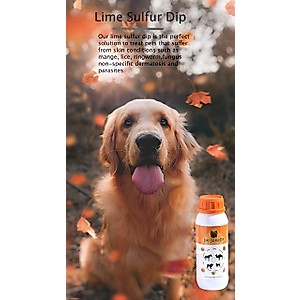 Classic's Lime Sulfur Dip - Pet Care for Itchy and Dry Skin - Xtra Strength Formula - Safe Solution for Dog, Cat, Puppy, Kitten, Horse (16 fl oz x 3 Bottles)