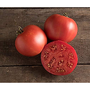David's Garden Seeds Tomato Slicing Indeterminate Moskvich 7412 (Red) 25 Non-GMO, Heirloom Seeds