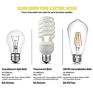 LED Edison Bulb,Antique 40W Vintage Bulb,E26 Non Dimmable Led Bulb 450 Lumens 2700K, Warm White, Pack of 3