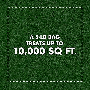 Spectracide One Shot Fire Ant Killer