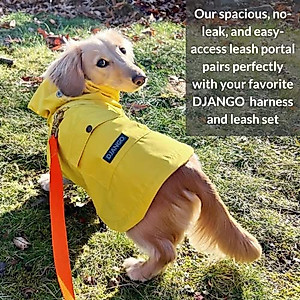 DJANGO Highland Dog Jacket and Raincoat - Water-Repellent, Windproof, and Harness-Friendly Hooded Winter Dog Coat & Raincoat with Adjustable Drawstrings & Gunmetal Hardware (Medium, Dandelion Yellow)
