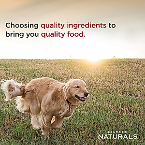 Diamond Naturals Large Breed Adult Dry Dog Food Lamb Meal and Rice Formula with Protein from Real Lamb, Probiotics and Essential Nutrients to Support Balanced and Overall Health in Adult Dogs 40lb