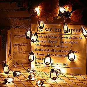 2 Strings Set, Lantern String Lights 9.8ft of 40 LED Lights Mini Vintage Christmas Halloween Decorative Kerosene String Lights for Patio Garden Home Holiday Decoration, Warm White Light (Black)