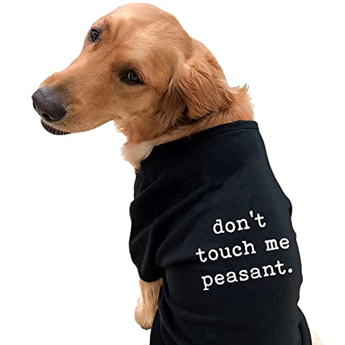Dog Shirt Don't Touch Me Peasant Funny Pet Novelty Puppy Offensive Graphic Tee for Dogs for Dog Lovers with Introvert Sayings Heather Black M