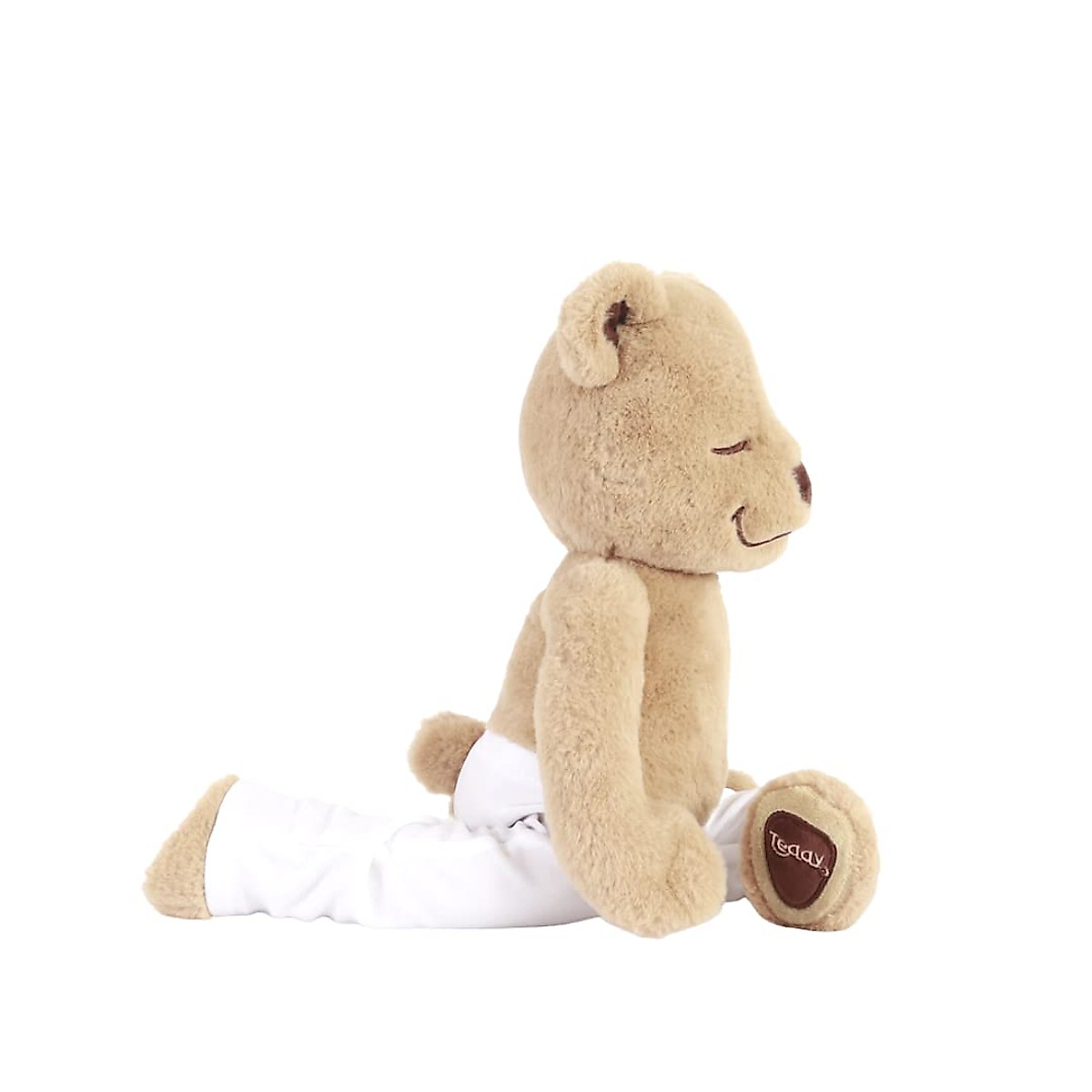 Meddy Teddy The Yoga Bear