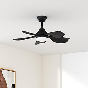 Newday 30" Ceiling Fan with Light and Remote, Small Ceiling Fans with Lights, 5 Reversible Blades 3 Colors Dimmable 6 Speed Ceiling Fan for Bedroom Kitchen Dining Room, Black Ceiling Fan with Light