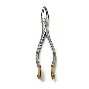 German Dental Extracting Forceps #151-Lower Bicuspid, Lower Incisor, Lower Root, Universal Extraction Forceps Dental Instruments -Cynamed