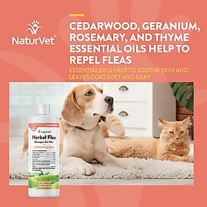 NaturVet Herbal Flea Pet Shampoo with Essential Oils – Helps Against Fleas, Insects – Deodorizing Dog Shampoo – Includes Rosemary, Cedarwood, Geranium, White Thyme Oils – 16 Oz.