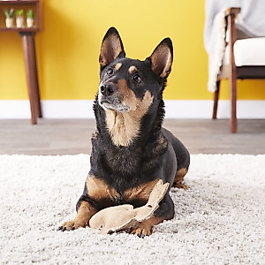 SPOT By Ethical Products Dura-Fused Leather Interactive Durable Dog Squeak Toy for Large and Small Dogs - Small - Rabbi