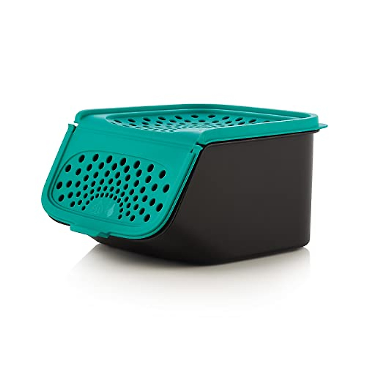 NEW TUPPERWARE MODULAR MATES GARLIC STORAGE 2.3 KG (Single Pack)