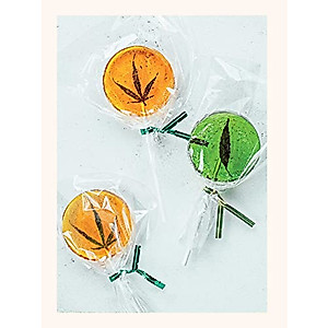 The Weed Gummies Cookbook: Recipes for Cannabis Candies, THC and CBD Edibles, and More (Guides to Psychedelics & More)