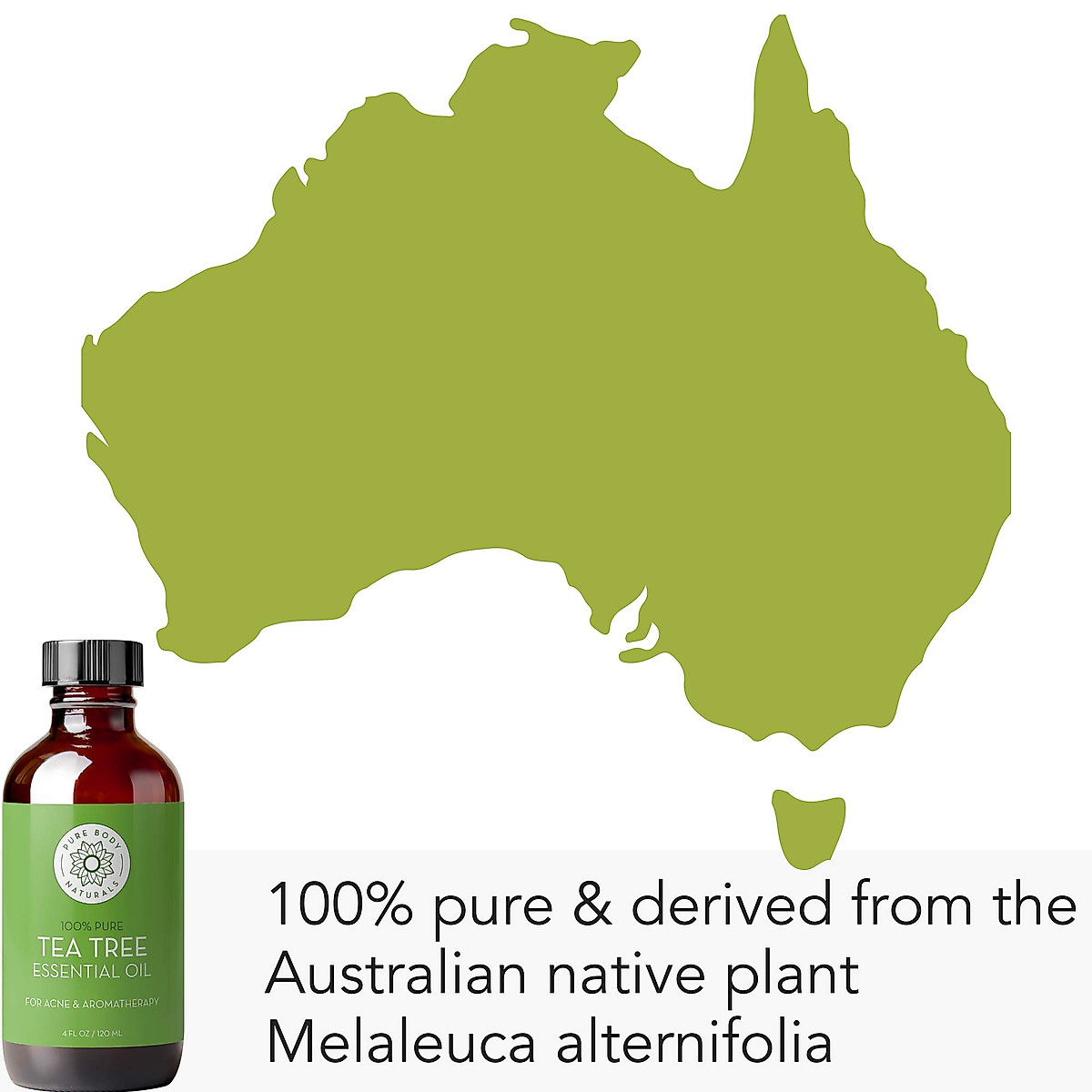 Pure Body Naturals Tea Tree Essential Oil, 4 Fl Oz with Dropper - Undiluted Therapeutic Grade for Your Face, Skin, Hair and Diffuser - 100% Pure Melaleuca Oil for Acne, Toenails