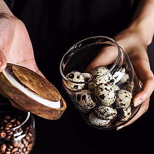 SAIOOL Set of 5 Kitchen Canisters,Thick, Stackable, Natural Style,Cookie, Rice and Spice Jars - Sugar or Flour Container - Big and Small Airtight Food Jar for Pantry