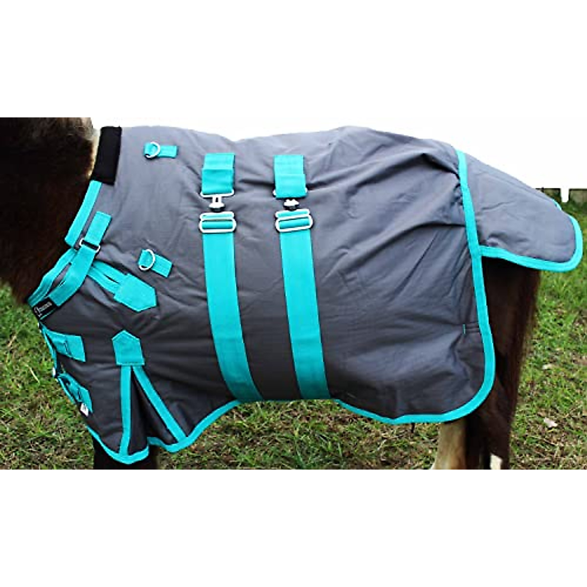 CHALLENGER 58" 1000D Miniature Weanling Donkey Pony Horse Foal Winter Blanket 51974TL