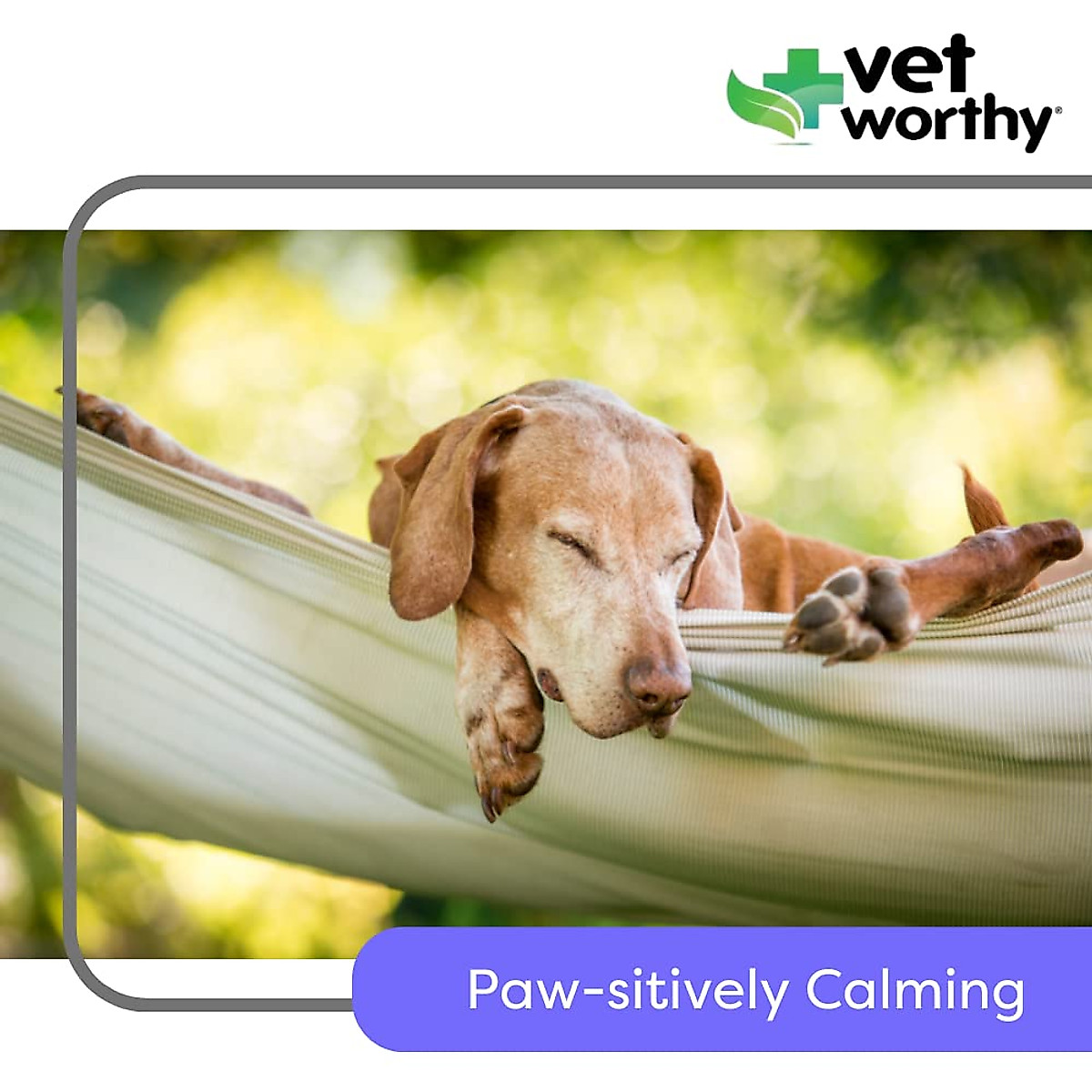 Vet Worthy Calming Aid Dog Soft Chew - Flavored Chewable Treats for Dogs to Manage Normal Stress - Dog Calming Chews for Storm Anxiety, Grooming, and Fireworks - Poultry Flavored, 45-Count