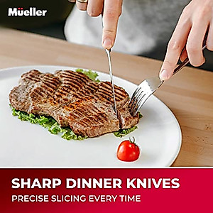 Mueller Flatware Set, 20-Piece Stainless Steel Silverware Set, Elegant Cutlery Set Service for 5 - Spoon, Knife, Fork, Teaspoon, Dishwasher Safe, Ergonomic Shape