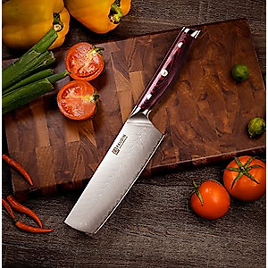 PAUDIN Damascus Nakiri Knife,7 Inch Japanese Damascus 67-layers VG10 High Carbon Stainless steel Knife, Ultra Sharp Vegetable Knife, Plume Pattern Kitchen Knife with Ergonomic G10 Handle