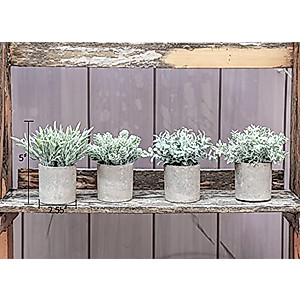 Der Rose 6pcs Mini Potted Fake Plants Small Artificial Plants for Home Farmhouse Bathroom Desk Office Decor