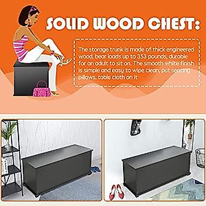Storage Chest Trunk, Lift Top Wood Box for Toys Modern Entryway Bench Organizer Home Furniture,Clothes Trunks Cabinet for Bedroom Modern Wood Chest Kids Toy Box(Black)