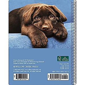 What Labs Teach Us 2021 Engagement Calendar (Dog Breed Calendar)