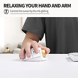 DeLUX Bluetooth Trackball Mouse, Wireless Ergonomic Rollerball Mouse with 2400DPI, Smooth Easy Thumb Control, 3 Devices Connection, Compatible for Windows, PC, Mac (MT1-White)