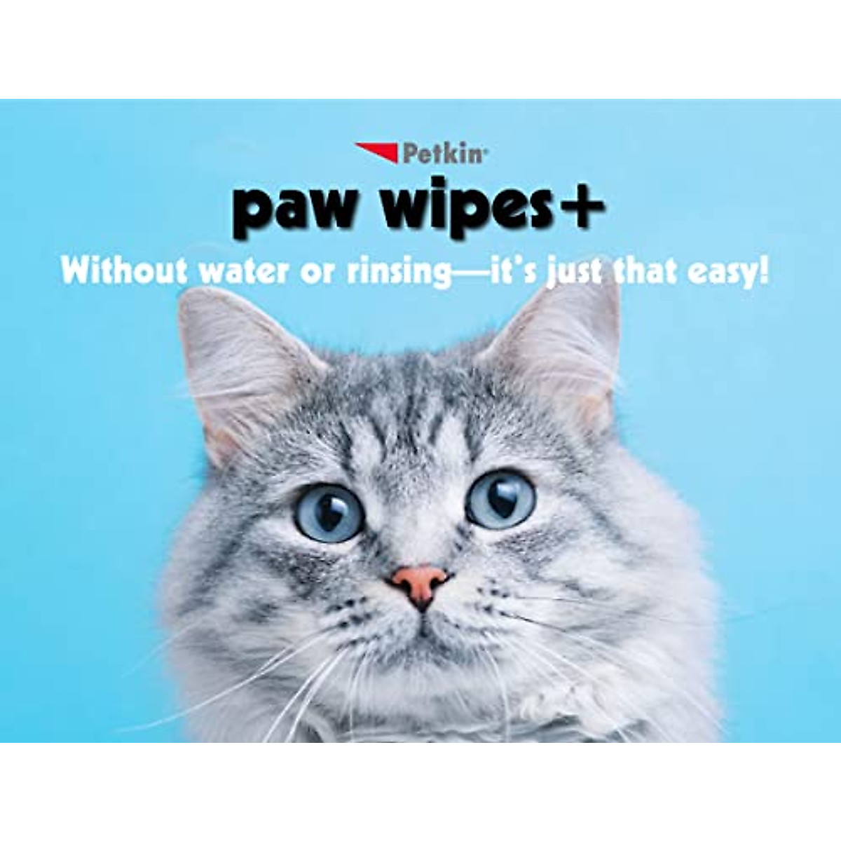Petkin Paw Wipes Plus, 200 Orange Scented Wipes, 2 Pack - Absorbent Pet Paw Wipes Remove Daily Dirt & Odors - Enriched with Paw Balm Protectant -Easy to Use Pet Wipes for Dogs, Cats, Puppies & Kittens