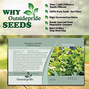 Outsidepride Perennial Urtica Dioica Stinging Nettle Seeds - for Medicinal Herb Garden Plants - 5000 Seeds