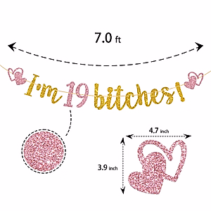 I'm 19 Bitches Banner, Gold & Pink Glitter Funy Happy 19th Birthday Banner, 19 Years Old Birthday Sign, Cheers to 19 Years Party Decorations Supplies, 7.5 Feet