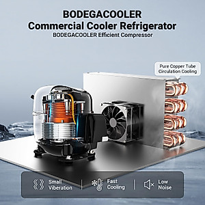 BODEGACOOLER Commercial Merchandiser Refrigerator, 36.3 Cu.Ft Upright Display Beverage Cooler, 2 Glass Door Display Refrigerator with Soft LED Light, Adjustable Shelves, 4 Strong Castors(Black)