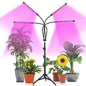 Grow Lights for Indoor Plant Growing Lamp,GooingTop Free Standing Plant Lamp with Red Blue LED for Small Mini Succulent Seedling Growth,Mixed Color Spectrum with Timer 3 9 12Hrs