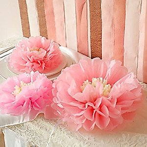 Komiikka Tissue Paper Flowers Decorations for Wall, Tissue Pom Poms Chrysanth Flowers DIY Crafting for Baby Shower, Girl Birthday Party, Nursery Wall Decorations (White Pink)
