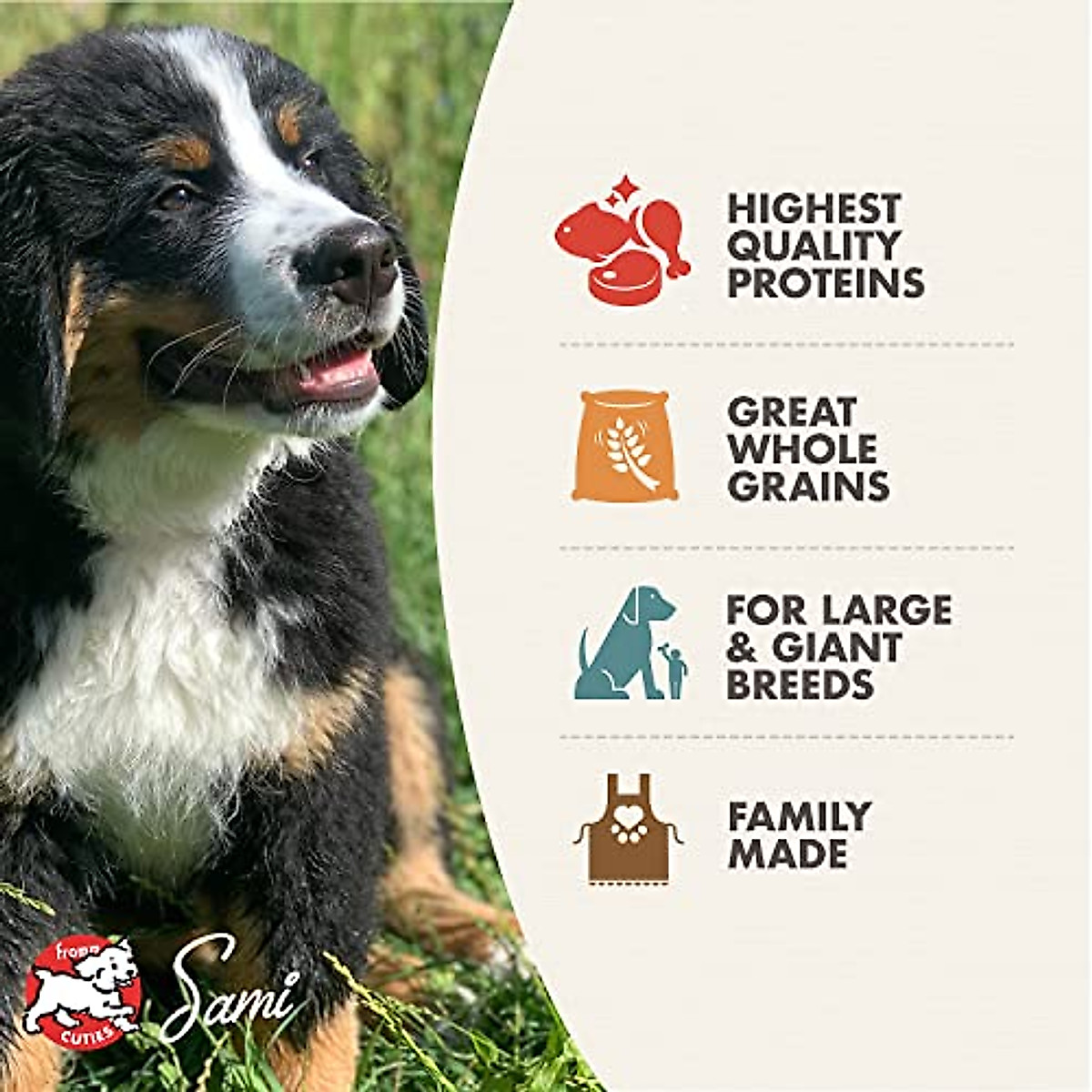 Fromm Large Breed Puppy Gold Premium Dry Dog Food - Dry Puppy Food for Large Breeds - Chicken Recipe - 30 lb