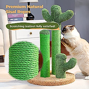 PAWZ Road Cat Scratching Post Cactus Cat Scratcher Featuring with 3 Scratching Poles and Interactive Dangling Ball -Medium 23 Inches