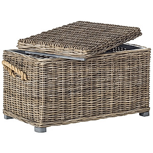Safavieh Home Collection Salim Grey Rattan Storage Trunk
