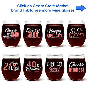 Cheers Funny Cute Wine Glass,Stemless 15oz, Box, Happy Birthday for Women or men, Unique Idea for Her, Mom, Wife, Girlfriend, Sister, Grandmother, Aunt, Friend, BFF, Coworker