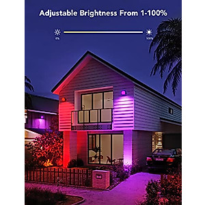 Govee Outdoor Lights, Flood Lights Uplight 2 in 1, LED Landscape Lighting, Low Voltage Landscape Lights, IP65 Pathway Lights with App Control, 35 Scene Modes, Patio Lights, Garden Yards, Wired 2 Pack