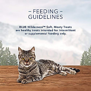 Blue Buffalo Wilderness Grain Free Soft-Moist Cat Treats, Chicken & Turkey 2-oz Bag
