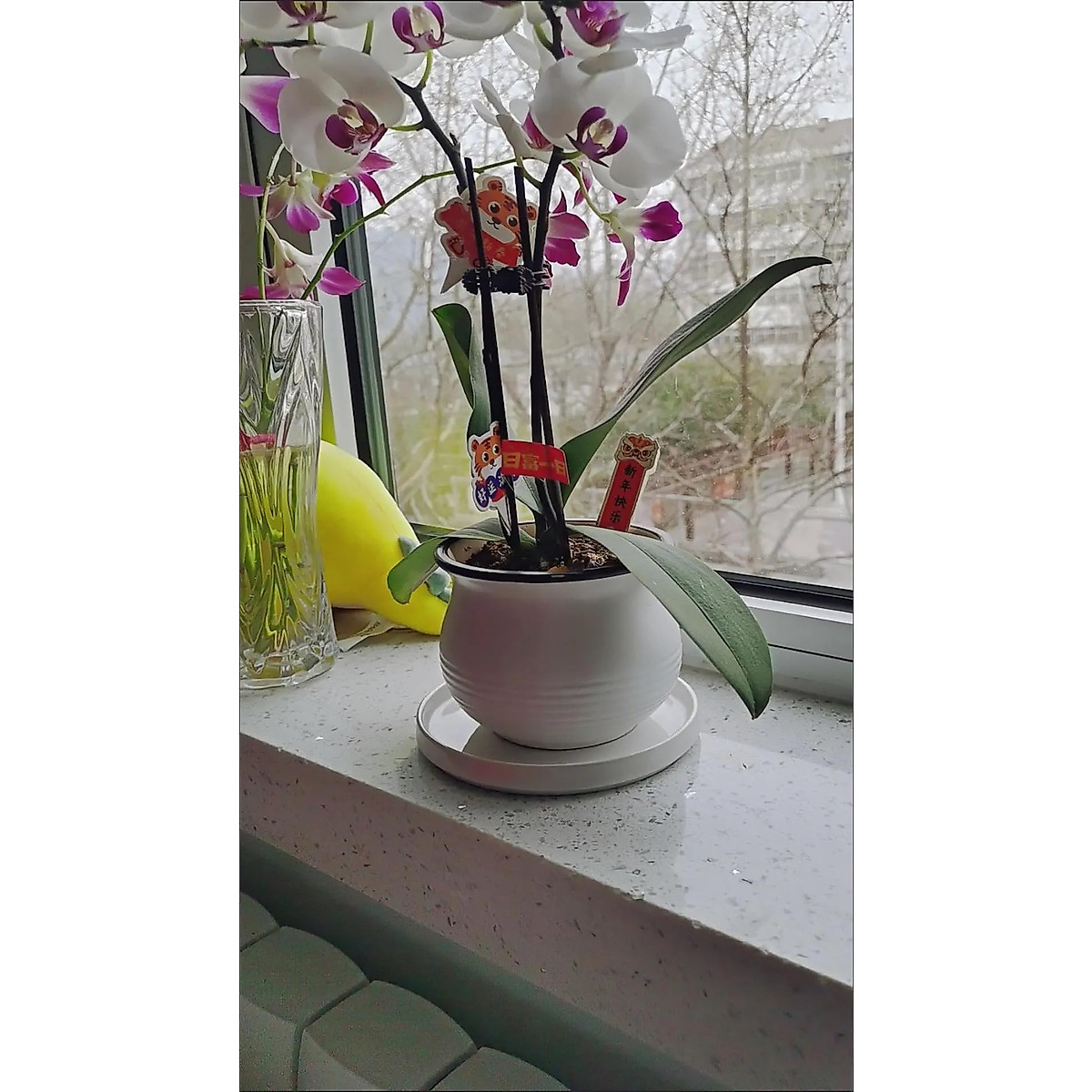 Yukfona Ceramic Plant Saucer Pot Tray 10 Inch, Planter Saucers 4 5 6 7 8 9 10 11 12 13 Inch for Indoors Outdoor, Durable Sturdy Flower Drainage drip Water Tray for Glazed Pots Base (10.7 Inch-White)