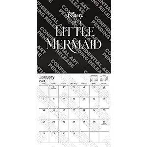 2024 Disney The Little Mermaid (Live Action) Wall Calendar